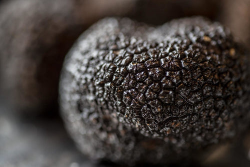 Tas Truffles